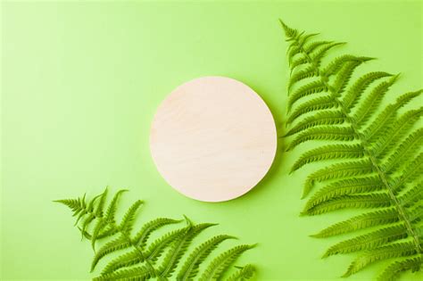 녹색 배경에 양치류와 여름 열대 배경 공간을 복사합니다 0명에 대한 스톡 사진 및 기타 이미지 0명 개념 경관 Istock