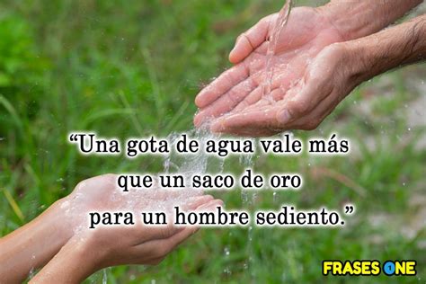 Frases Sobre El Agua Mensajes Y Pensamientos 2024