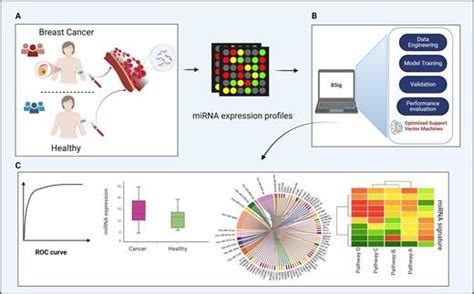 Srinivas Ys On Linkedin An Evolutionary Learning Based Method For Identifying A Circulating Mirna