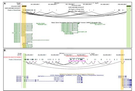 Figure 1 From Improving Chromatin Interaction Prediction Using Single