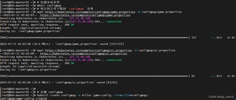 k8s学习 configmap（创建、使用、更新、删除等） 阿里云开发者社区