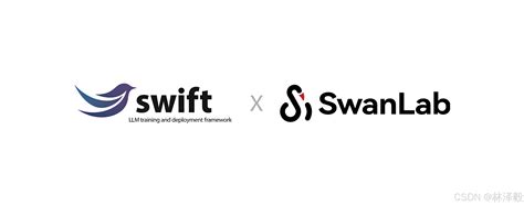 swift训练大模型可视化教程：使用swanlab modelscope swift csdn博客