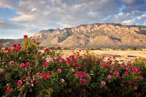 Lgbt 10 Pros And Cons Of Living In New Mexico