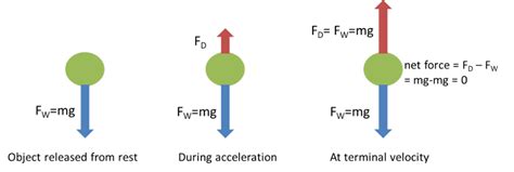 Phys Terminal Velocity Physics Terminal Velocity Fo
