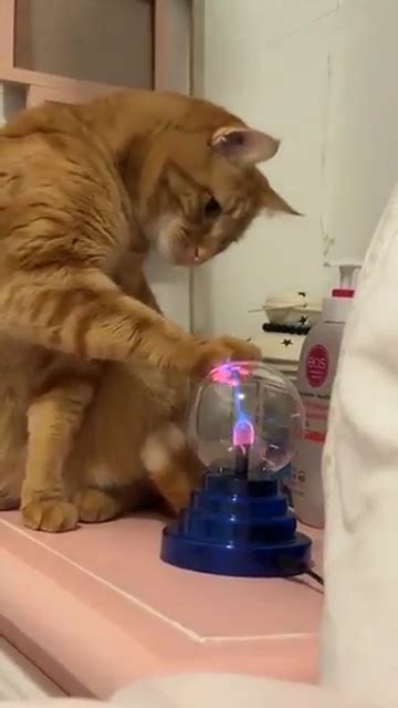 Plasma Beans Album On Imgur