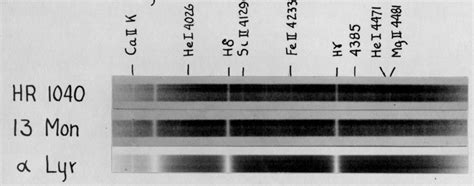 Maury Put The Stars With Wide Strong Linesinto Groups She Called