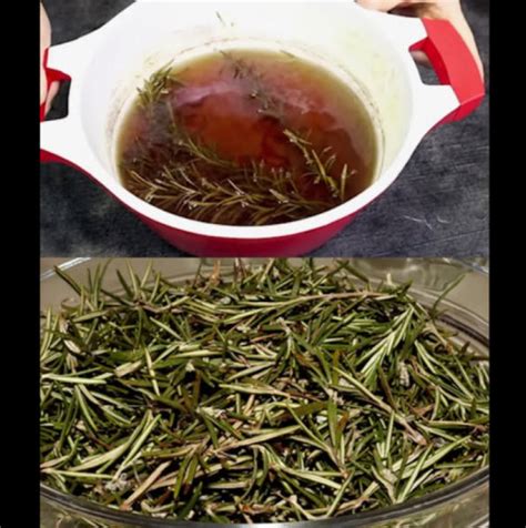 Сварете 4 5 стръка розмарин с малко дафинов лист и пийте редовно След 21 дни проверете