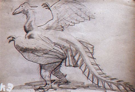 Rodan Showa Wikizilla The Kaiju Encyclopedia