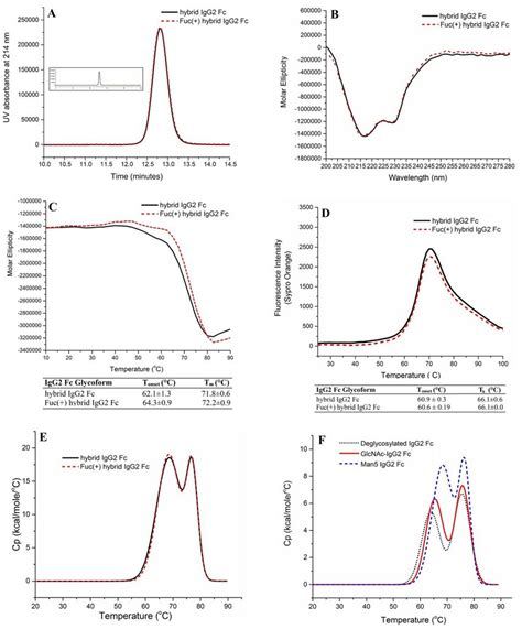 Biophysical Analyses Of Igg2 Fc Glycoforms A Size Exclusion