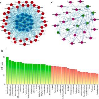 Network Model Of The Correlation Between Microorganisms And Volatile Download Scientific