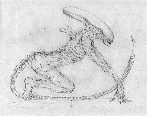 XenoMorph Drawing By BerSverk On DeviantArt