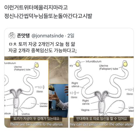 충격적인 사실