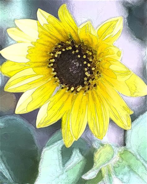 Yellow Sunflower Abstract Digital Art By Jeanne A Martin Fine Art America