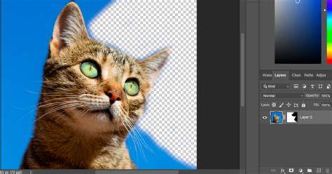 How To Remove Background In Photoshop Foolproof Ways