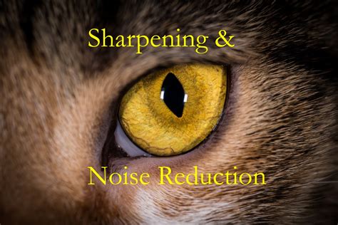 Sharpening And Noise Reduction In Lightroom 6