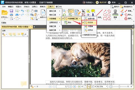 Pdf文字怎么替换?这两招你得会 少数派 Pdf文字怎么替换?这两招你得会 少数派