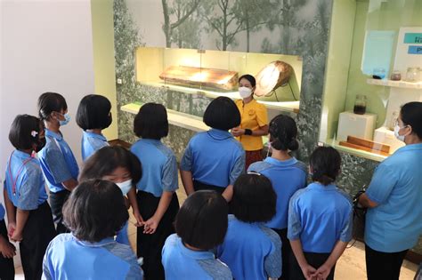 กรมศิลปากร พิพิธภัณฑสถานแห่งชาติ สุรินทร์