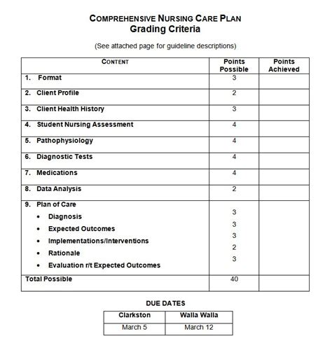 Nursing Care Plan Templates Blank The Best Template Example