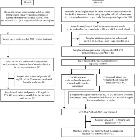 Optimization Of 25 Sulfosalicylic Acid Protein To Creatinine Ratio For