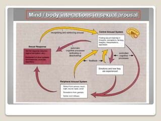 Female Sexual Response PPTX