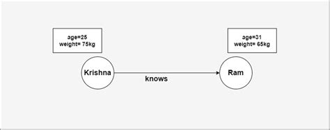 Programming For Beginners Introduction To Janusgraph