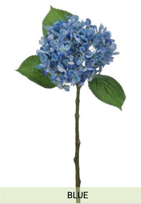 New England Hydrangea Stem 19 Blue Hopper Reed Designs