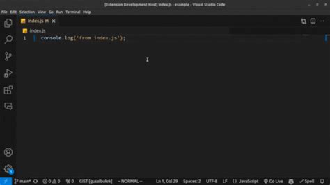 Webview Api Visual Studio Code Extension Api