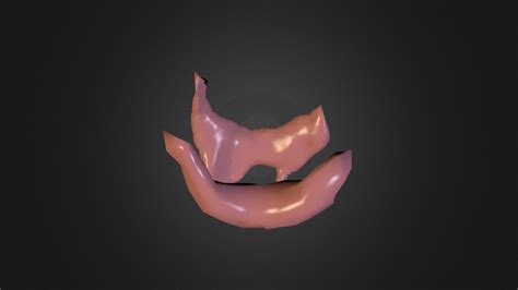 My Model D Model By B D Sketchfab