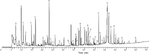 pyrogram of eucalyptus globulus wood obtained by py gc fid the peaks