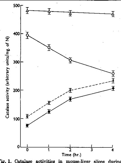 Figure 1 From The Intracellular Redistribution Of Catalase During The