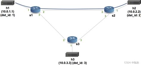 p4 tutorials basic tunneling csdn博客