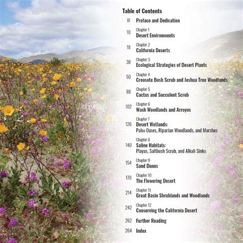 Desert Plants Information