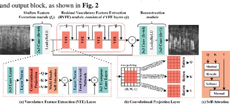 Figure 1 From Deep Learning Based Vasculature Extraction For Single Scan Optical Coherence