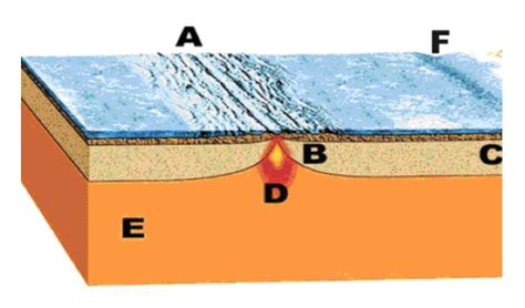 Oceanography Exam 1 Diagram 1 Diagram Quizlet