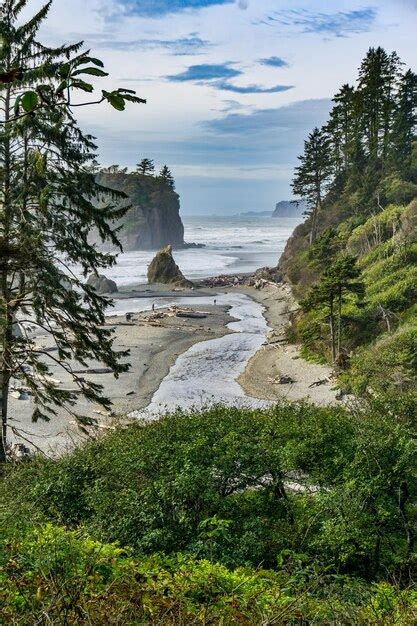 Premium Photo A Landscape Shot Of Scenic Ruby Beach In Washington State