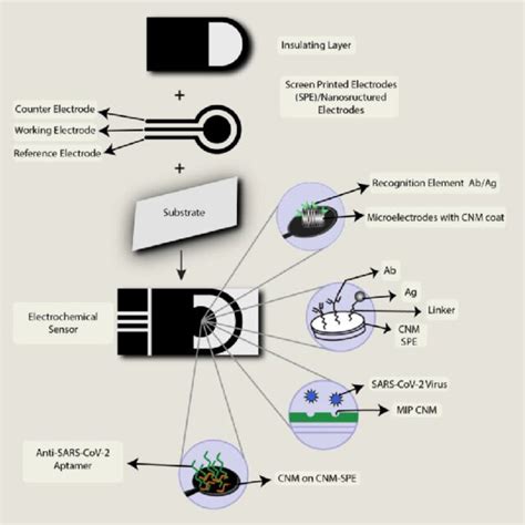Detection Methods Of Sars Cov 2 Via Other Types Of Carbon Nanomaterials