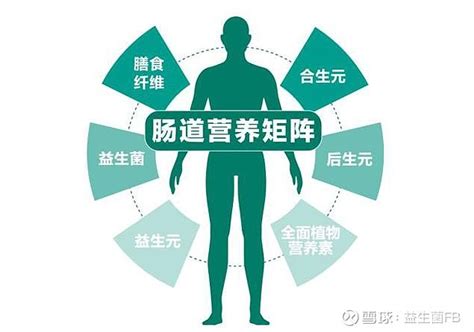 精准营养与肠道菌群平衡 科普知识 益生菌 肠道是人体最大的微生态系统，也是人体最大的免疫器官，肠道内有益菌可以帮助人体抵御外来有害细菌的侵入，还可以产 雪球