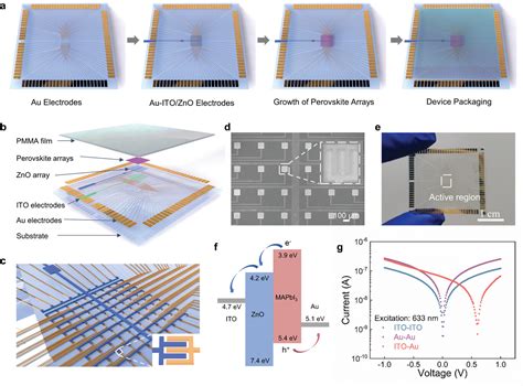 Self‐powered Perovskite Photodetector Arrays With Asymmetric Contacts