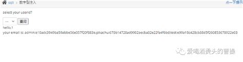 sql注入介绍及pikachu sql通关（详解） 墨天轮