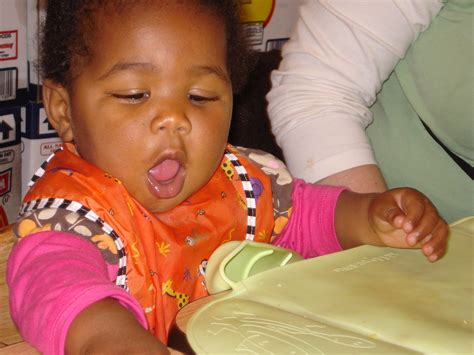 Dsc01856 Lexflex Flickr