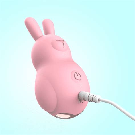 Mini Cute Rabbit Hoohss