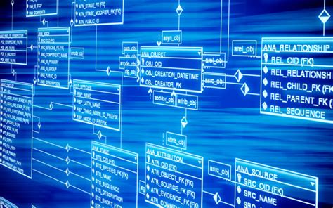 il database nell informatica e nella programmazione web