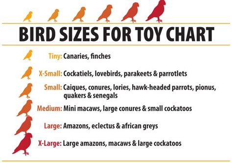 Handy Bird Toy Chart Very Important To Provide Your Birds With The