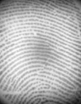 Python Fingerprint Comparison Stack Overflow