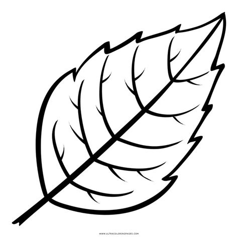 A Black And White Drawing Of A Leaf