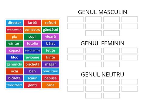 Substantivul Genurile Substantivului Group Sort