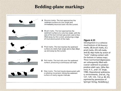 Ppt Chapter 4 Sedimentary Structures Powerpoint Presentation Free
