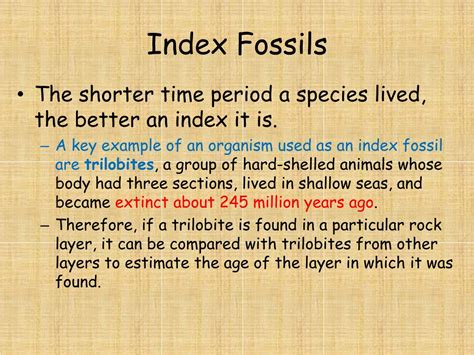 Ppt Rocks Fossils And Their Stories Powerpoint Presentation Free Download Id 9136446