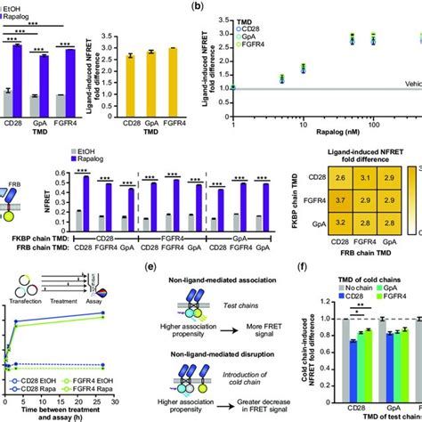 Protease Chain Tuning To Improve Mesa Receptor Performance A This Download Scientific