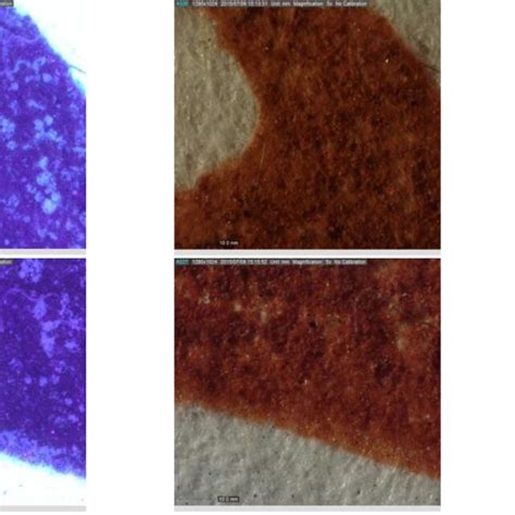 From Left To Right Uv Vis Nir Micrographs Of Laterite Upper Row And